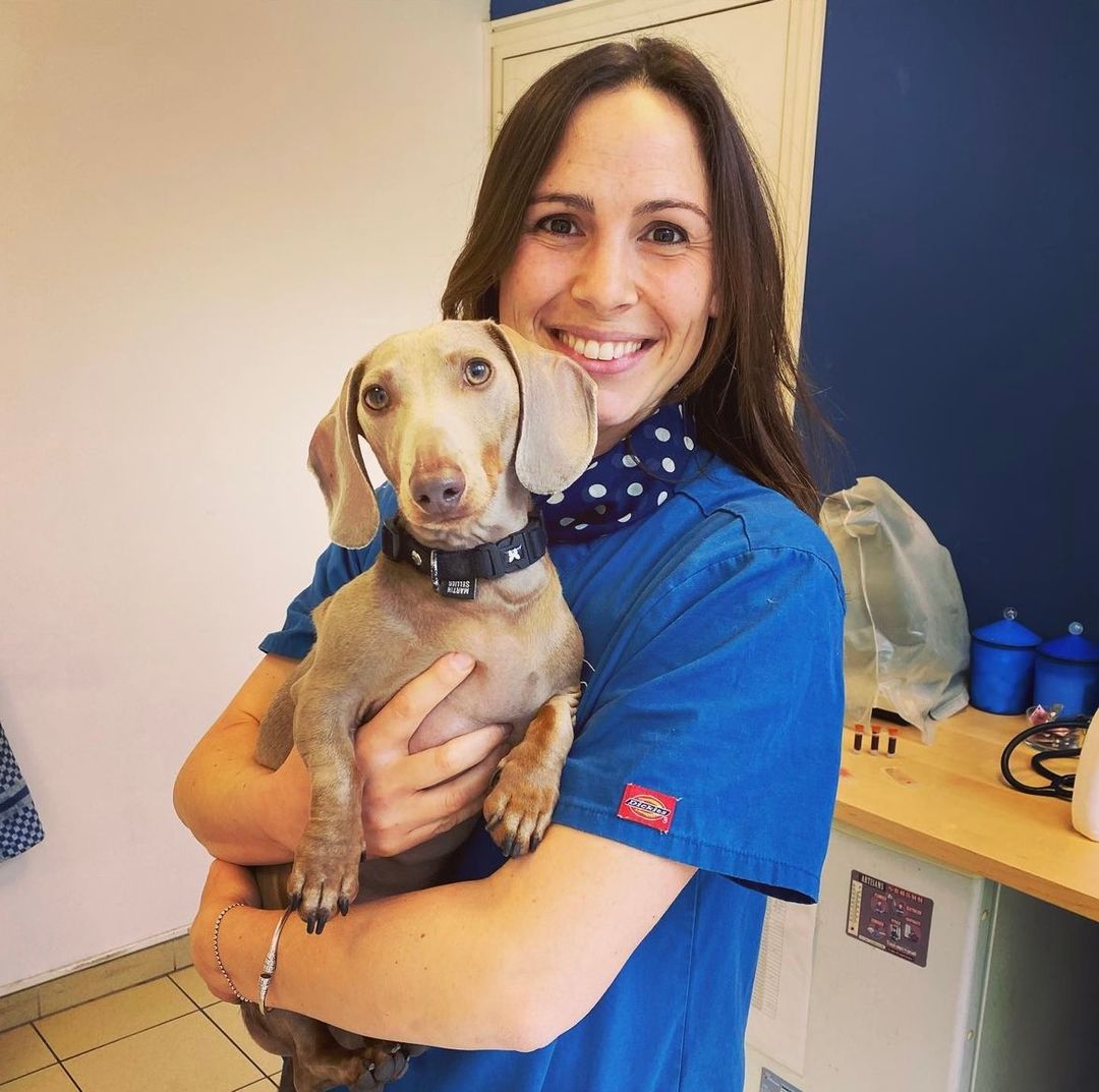 Comment et quand vermifuger son chat