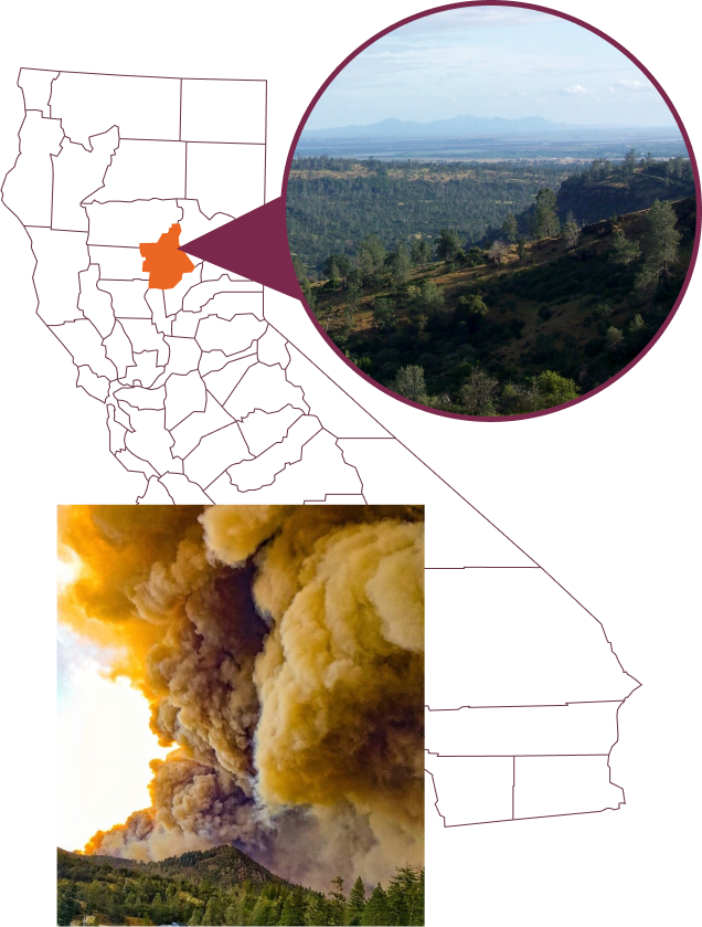 Lessons from California's CalAIM program