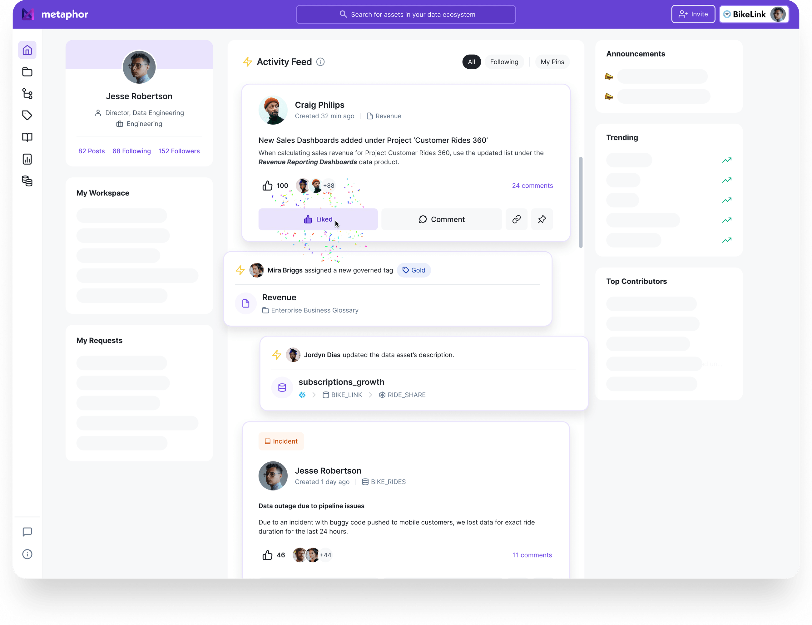 Metaphor - Data Mastery for the Whole Company