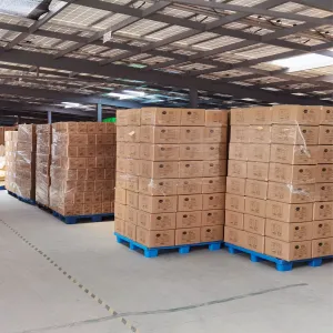 Detailed Guide on How Pencils are Made: The Production Process