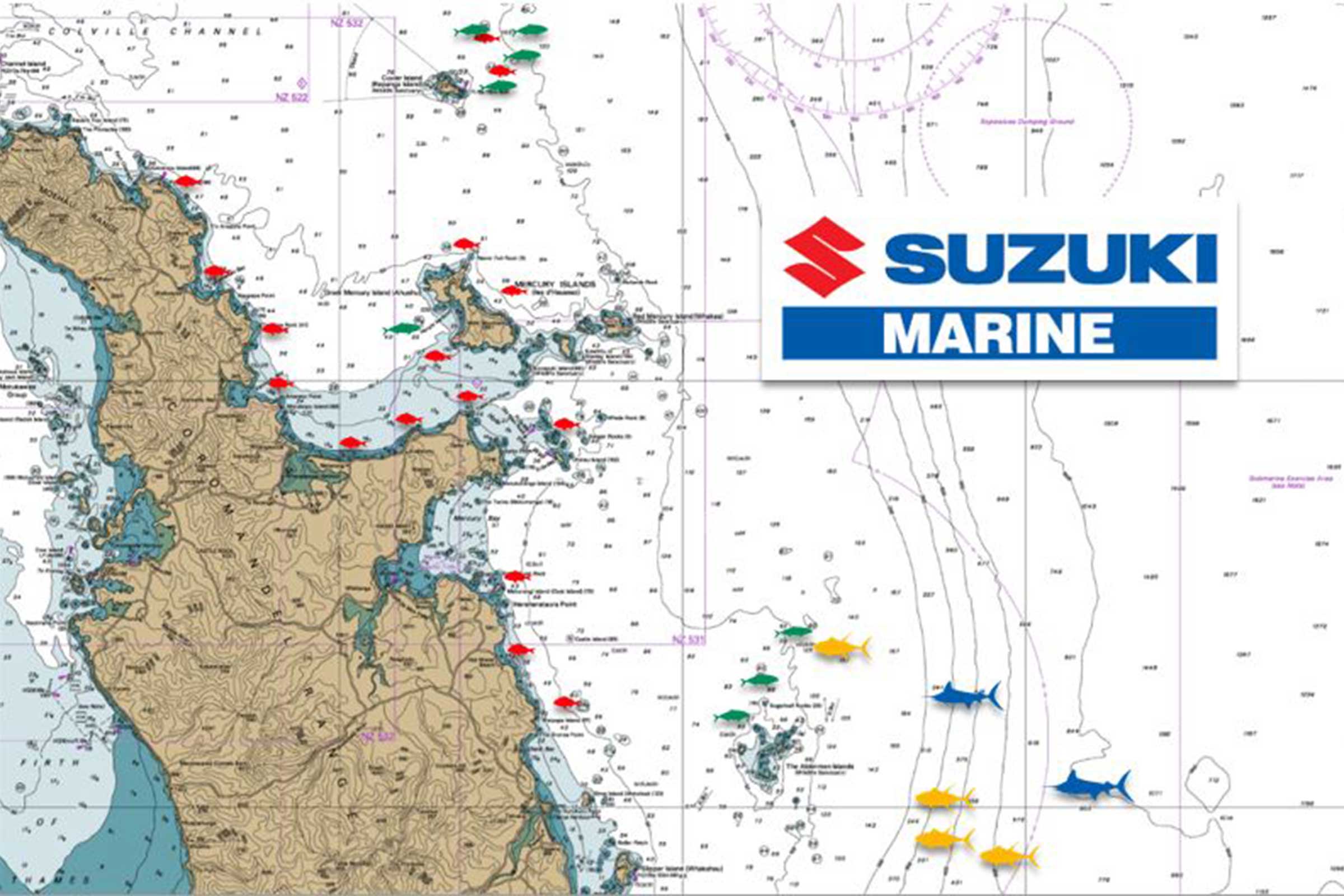Fishing Report for Coromandel 23 January