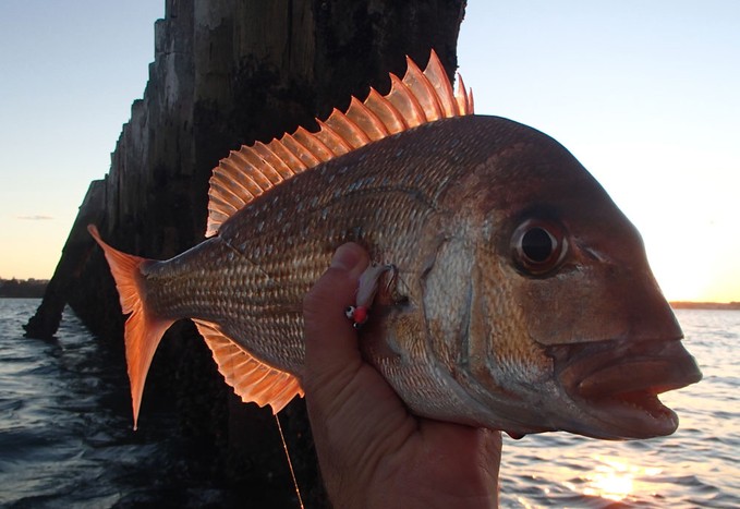 How to make your own saltwater flys