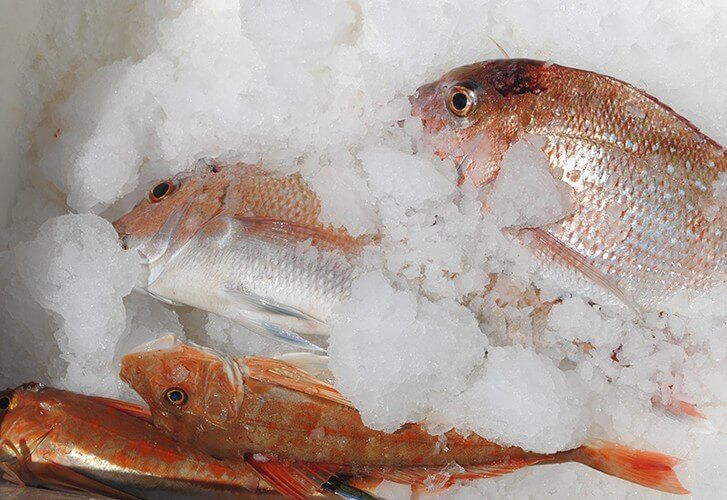 How to fish the Rangitoto Channel