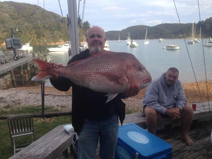 32.5lb New Zealand record snapper