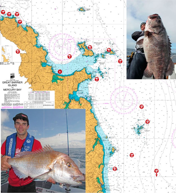 Northern Coromandel to Mayor Island