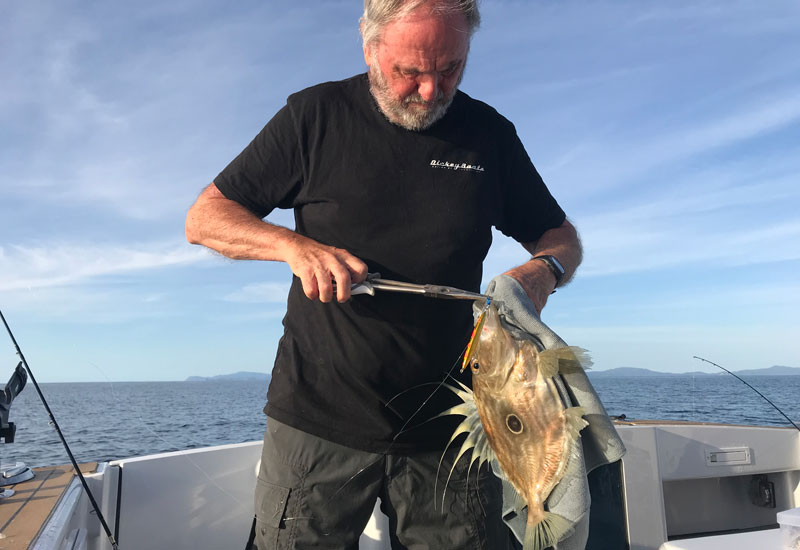 What lures to use, and when to use them