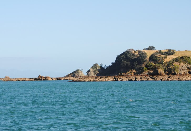 Waiheke's bountiful bottom end