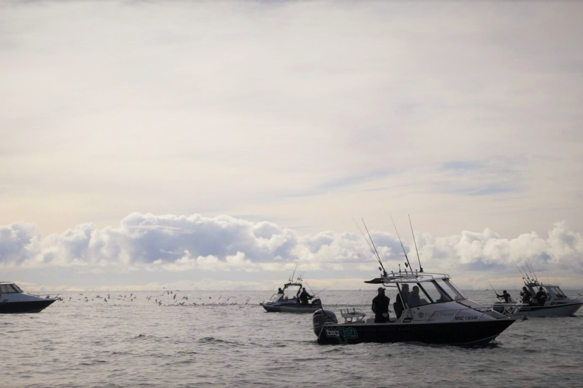 Fishing Report for Bay of Islands fishing report July