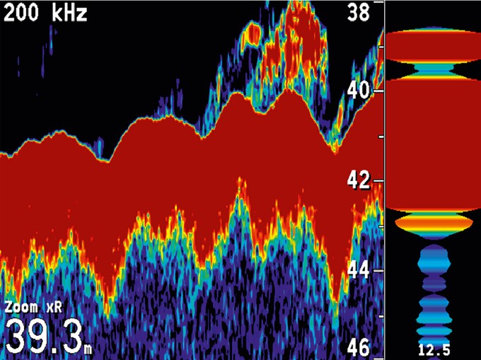 NZFW's guide to buying or upgrading your echo-sounder/fish-finder