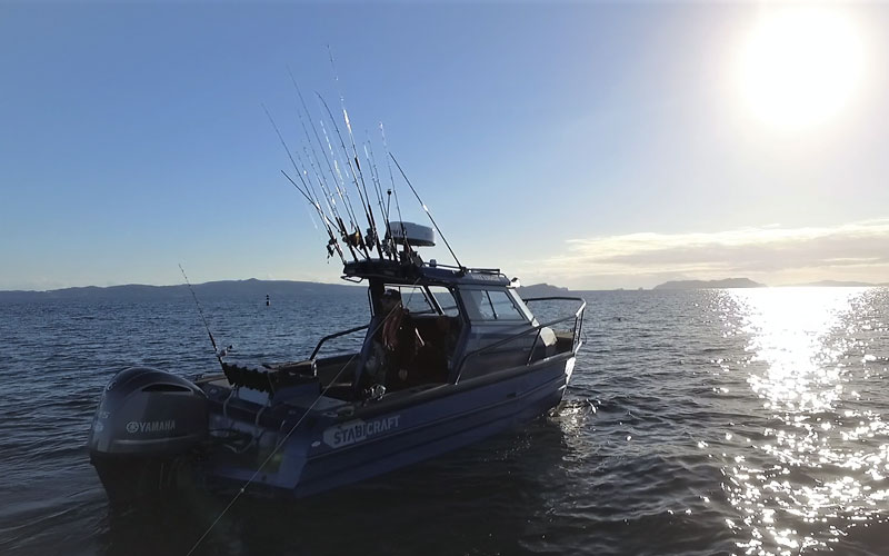 Guide to catching kingfish in the Coromandel