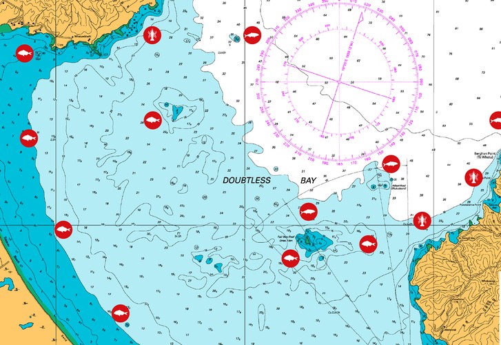 Destination Doubtless Bay