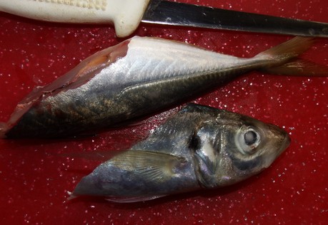 35 Tips to improve your fishing