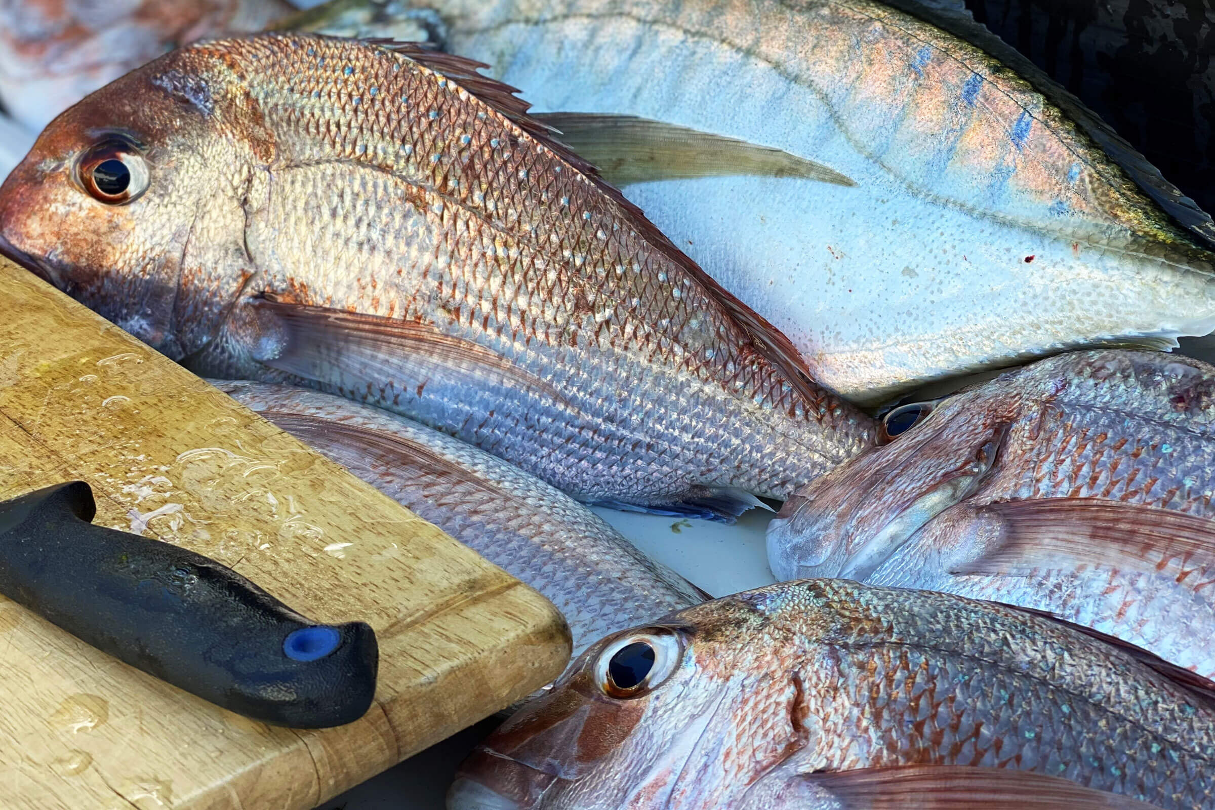 How to fillet a fish