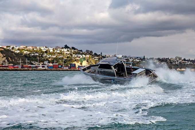 Senator Typhoon 950 Walkaround