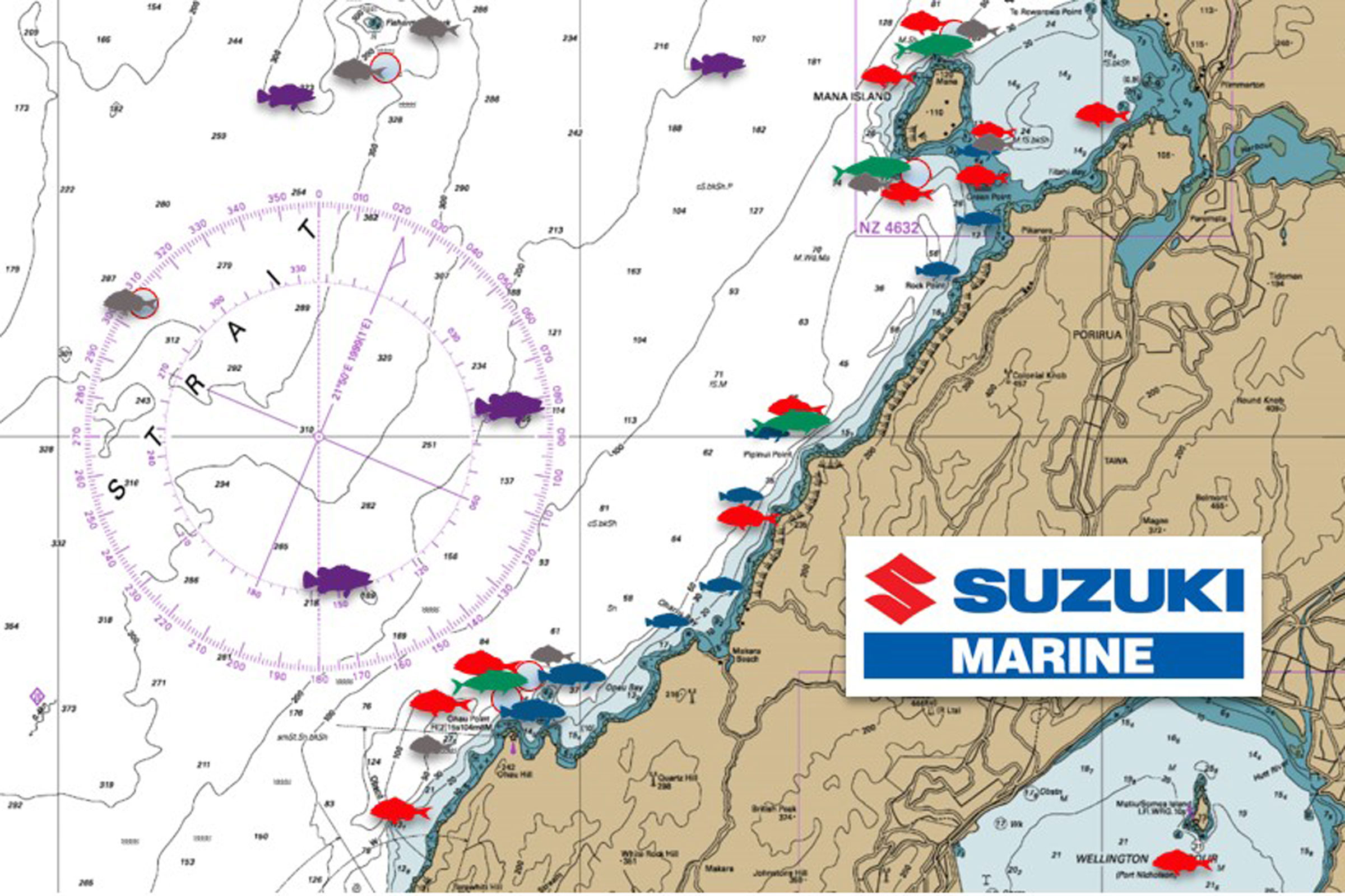 Fishing Report for Wellington & Kapiti Coast: December