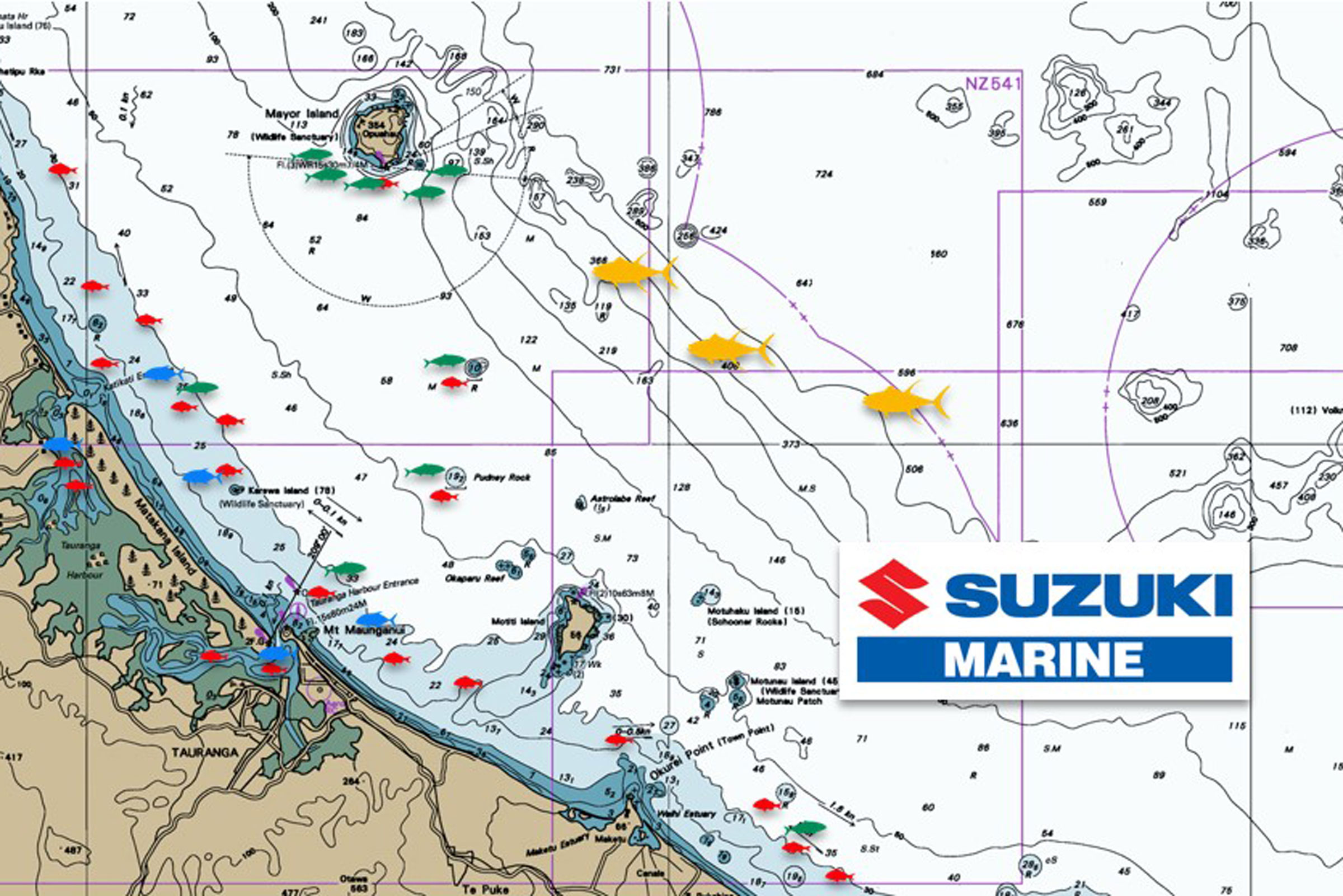 Fishing Report for Bay of Plenty December