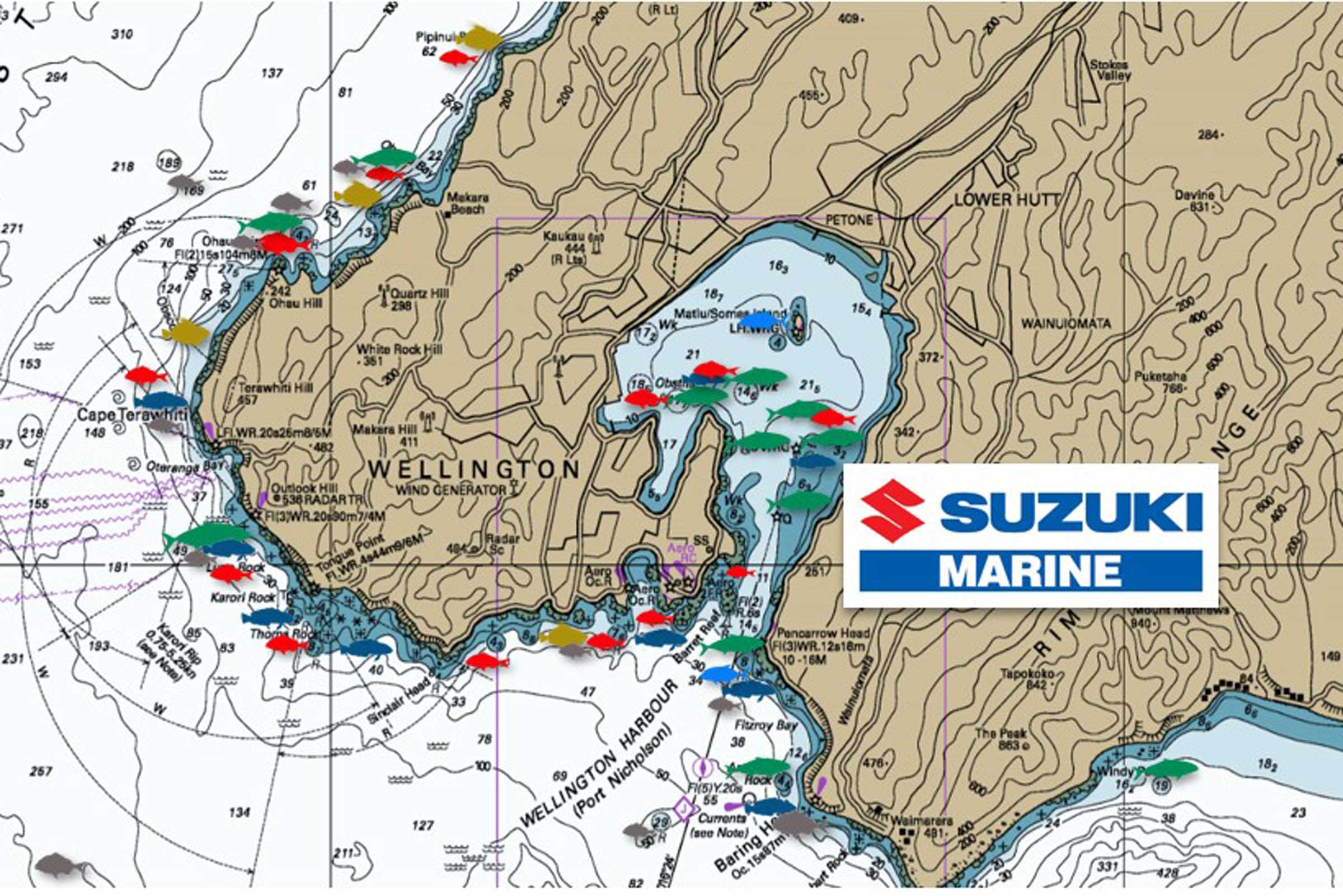 Fishing Report for Wellington and Kapiti