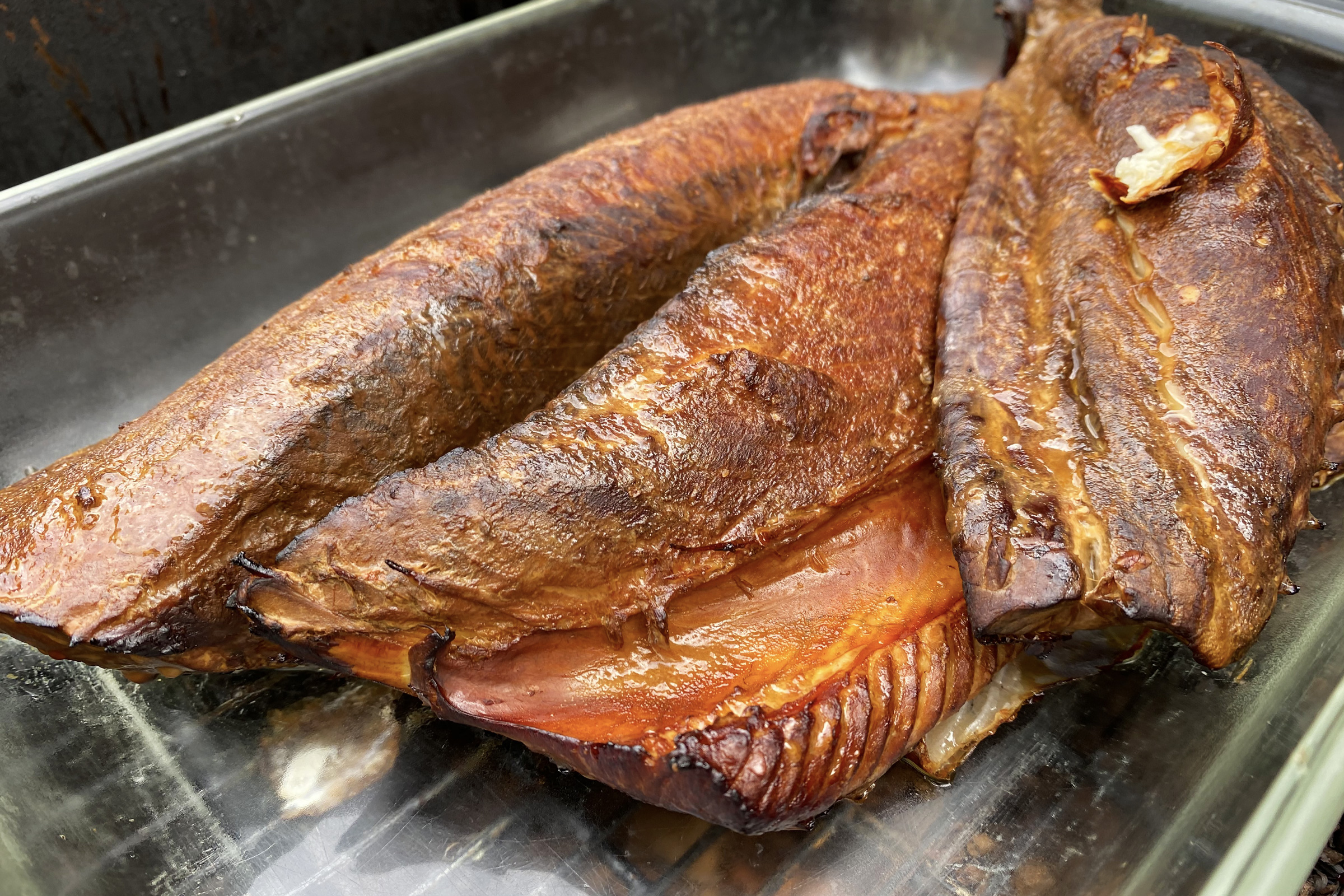 How to catch, fillet, and cook albacore