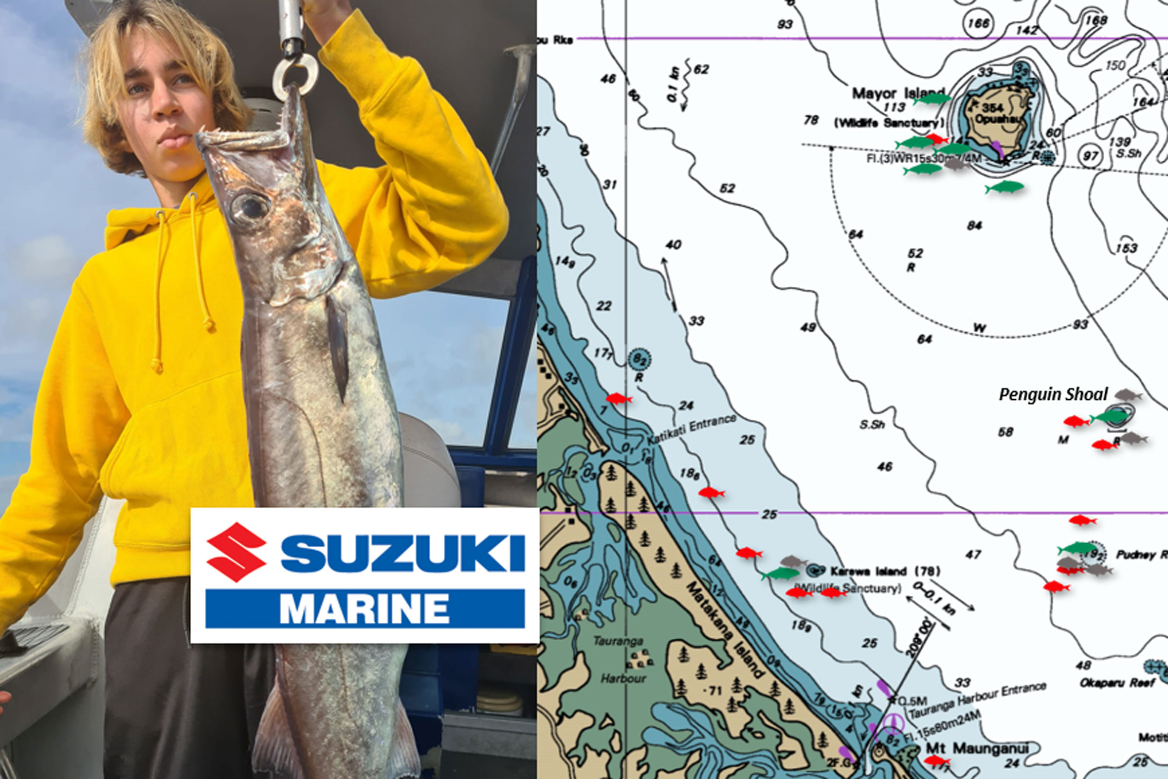 Fishing Report for Bay of Plenty 2nd Sept