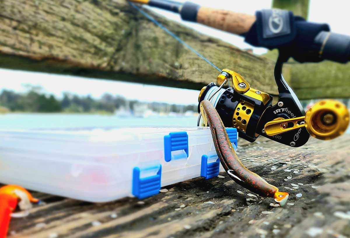 2024 lure coaching workshops