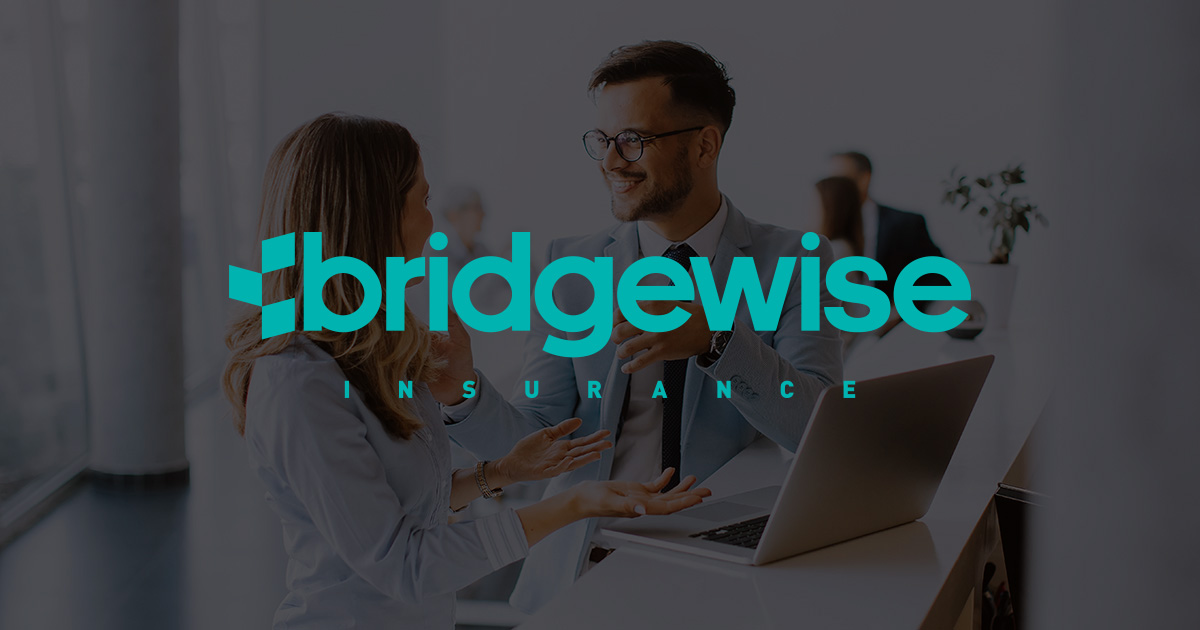 Terms of Use - Bridgewise Insurance Brokers | Insurance solutions for ...