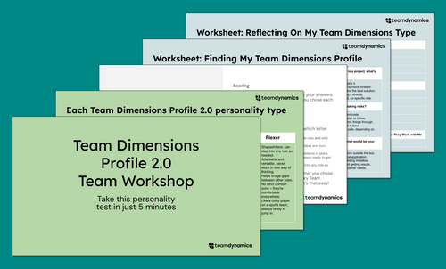 Team Dimensions Profile Worksheet | Free Personality Test Resource