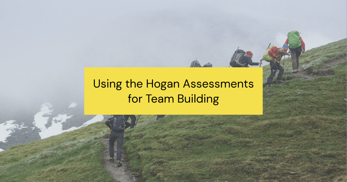 Unlock Team Potential with Hogan Assessments at Work for Team Building