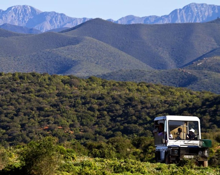 The beautiful Karoo: fascinating facts about one of earth’s most ...