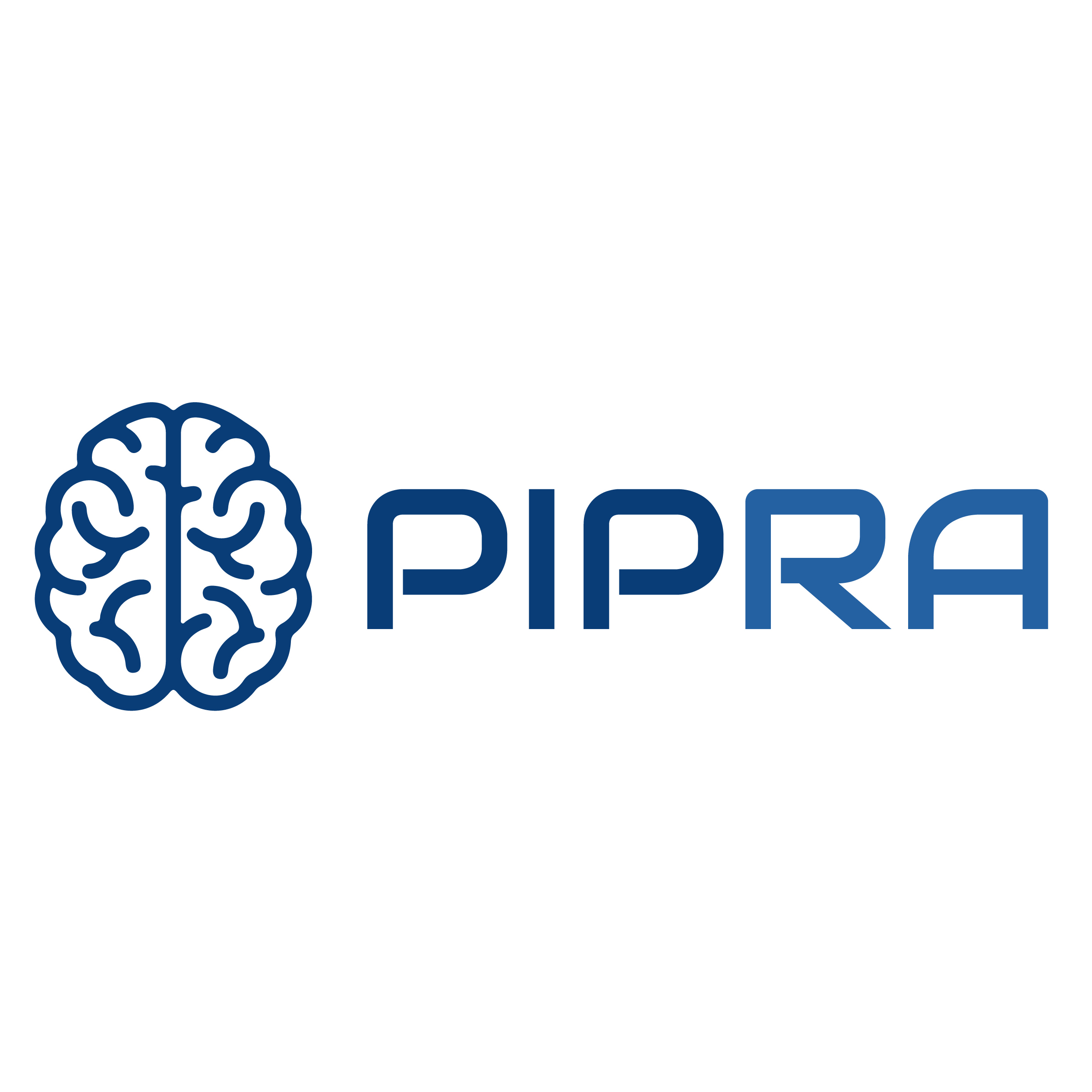 PIPRA - Pre-Interventional Preventive Risk Assessment - PIPRA | Home