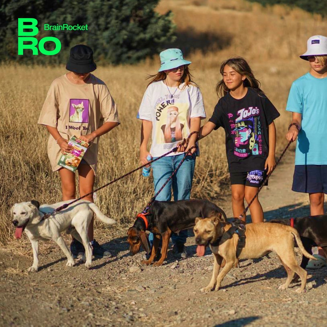 BrainRocket IT Software Development Company of the Future