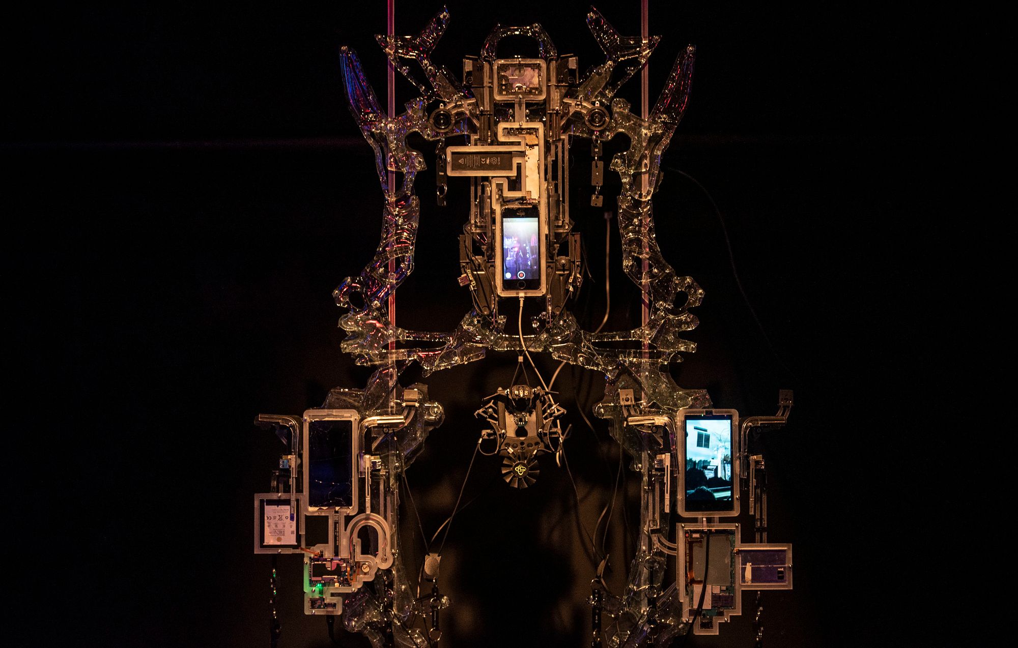 GOGBOT 2023 | Feed Your Head