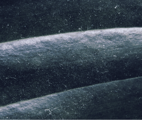 Covex® - Most Reliable Modular Floating Covers for Water Protection