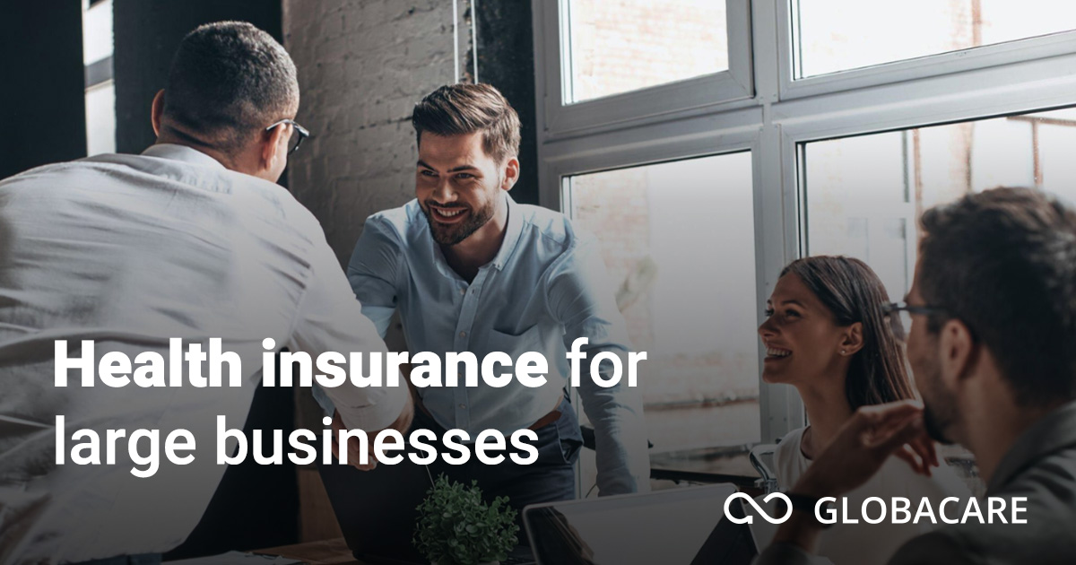 Health insurance for large businesses