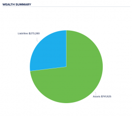 Personal Wealth charts - Spotlight Reporting Help