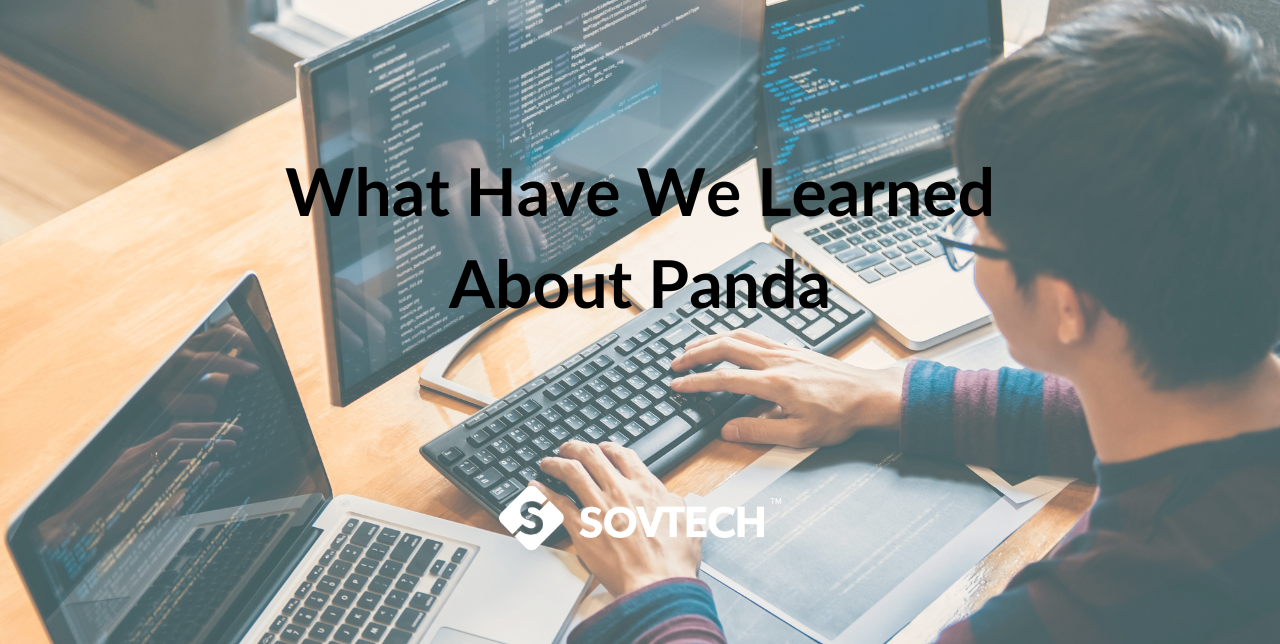 Blog - What Have We Learned About Panda