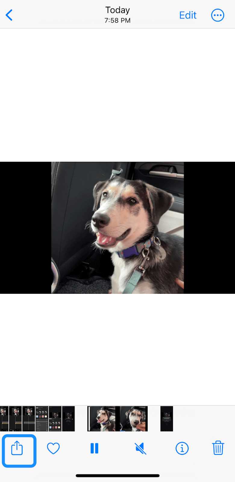 How to make a slow motion video on iPhone: A 2024 guide