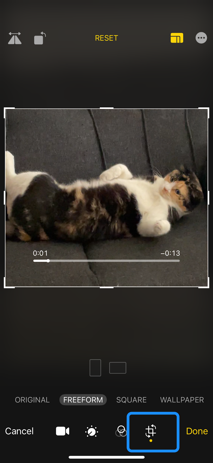 How to Crop a Video on an iPhone: 4 Easy Steps