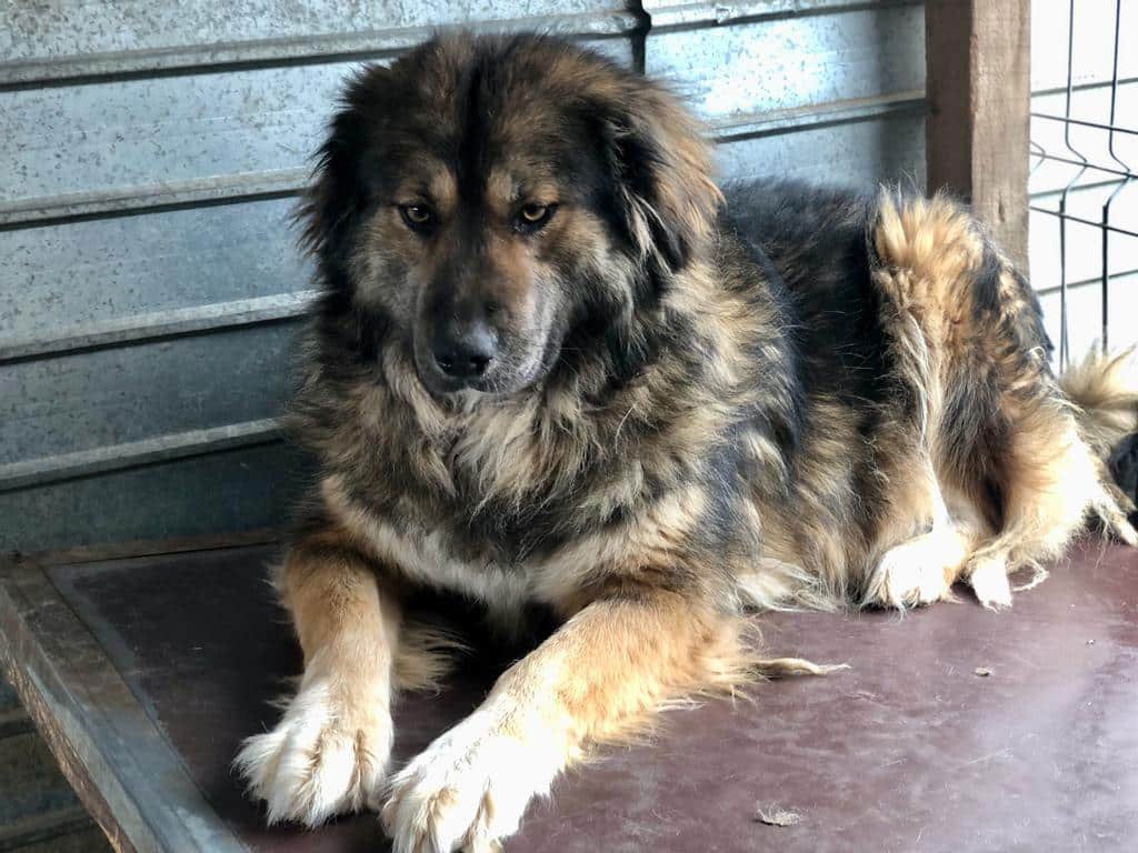 Gweny Vermittlungsportal Der Hilfe Für Hsh E V