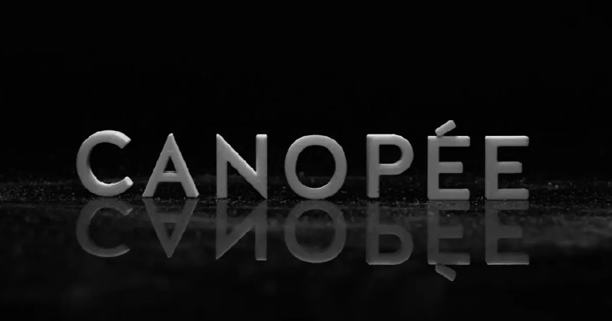 Canopée | Expertises