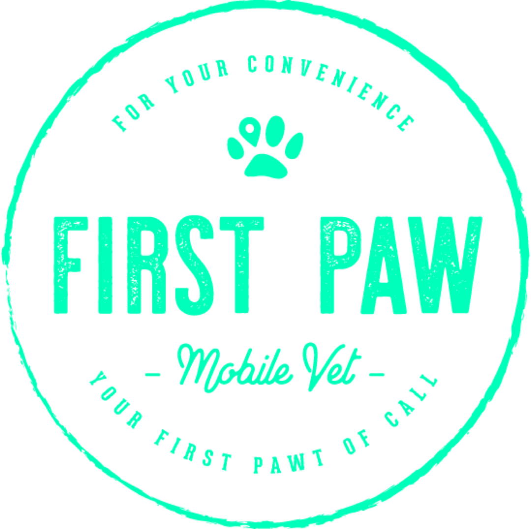 First Paw Mobile Vet - Expert Veterinary Care in Melbourne