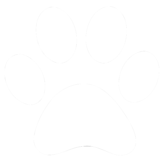 Metro Paws | Doggy Daycare | Pet Hotel | Dog Grooming