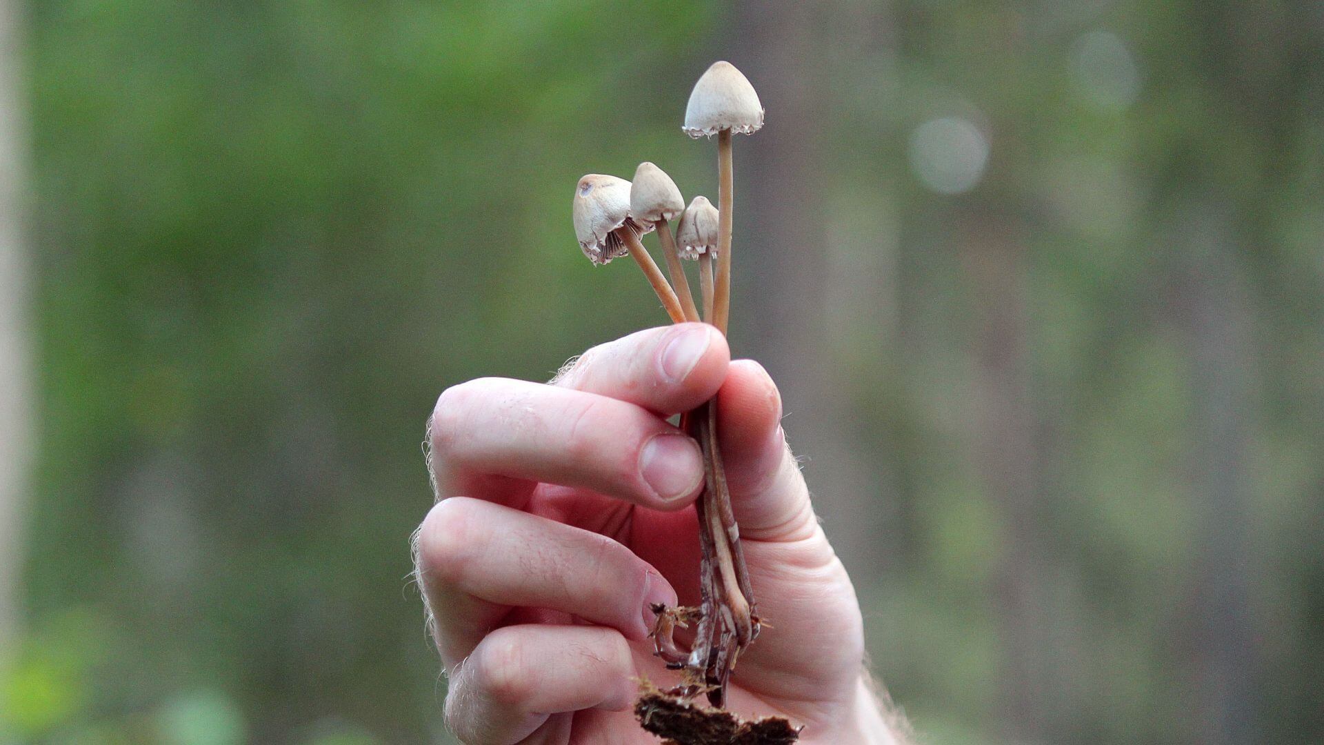 SET & SETTING Retreat