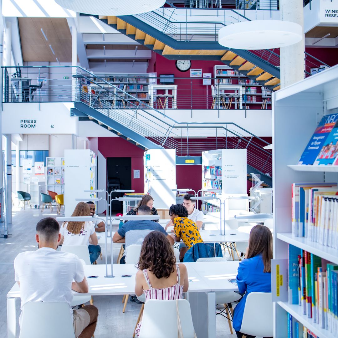 Master International Business - Burgundy School of Business