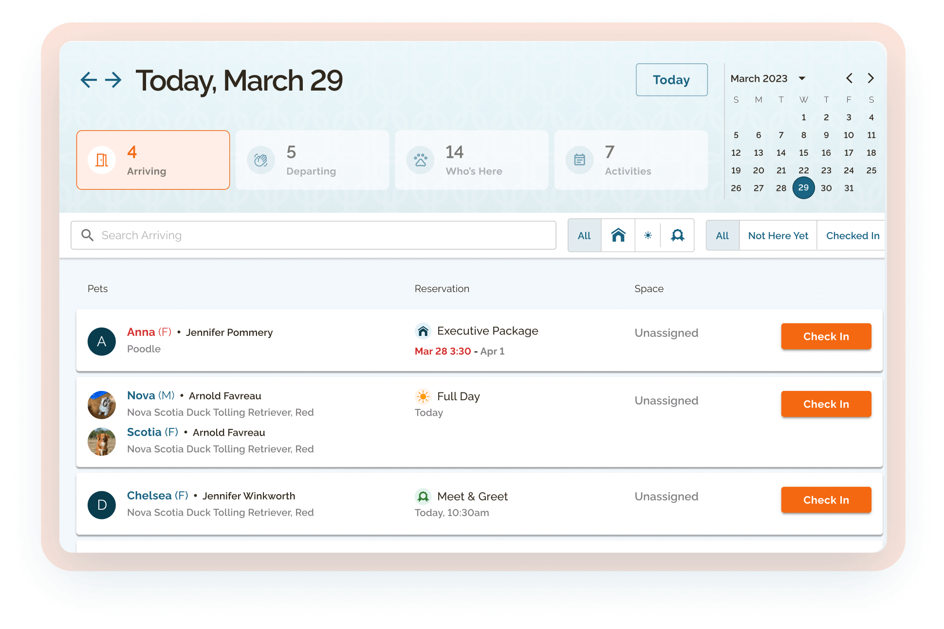 Daily Activity Dashboard | Goose