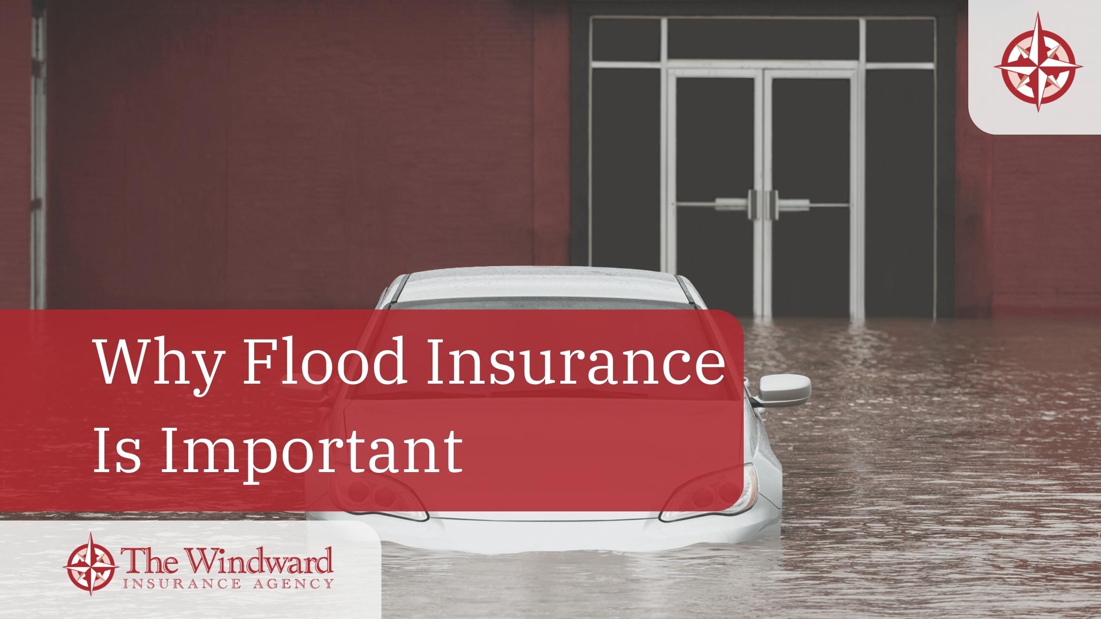 Why Flood Insurance Is Important | Windward Insurance Blog