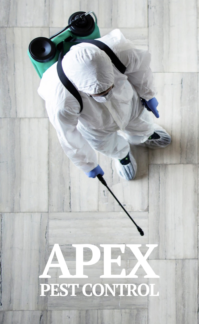 Apex Pest Control (Kent)