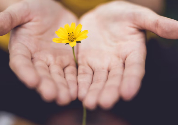 Hope For Life | About Us
