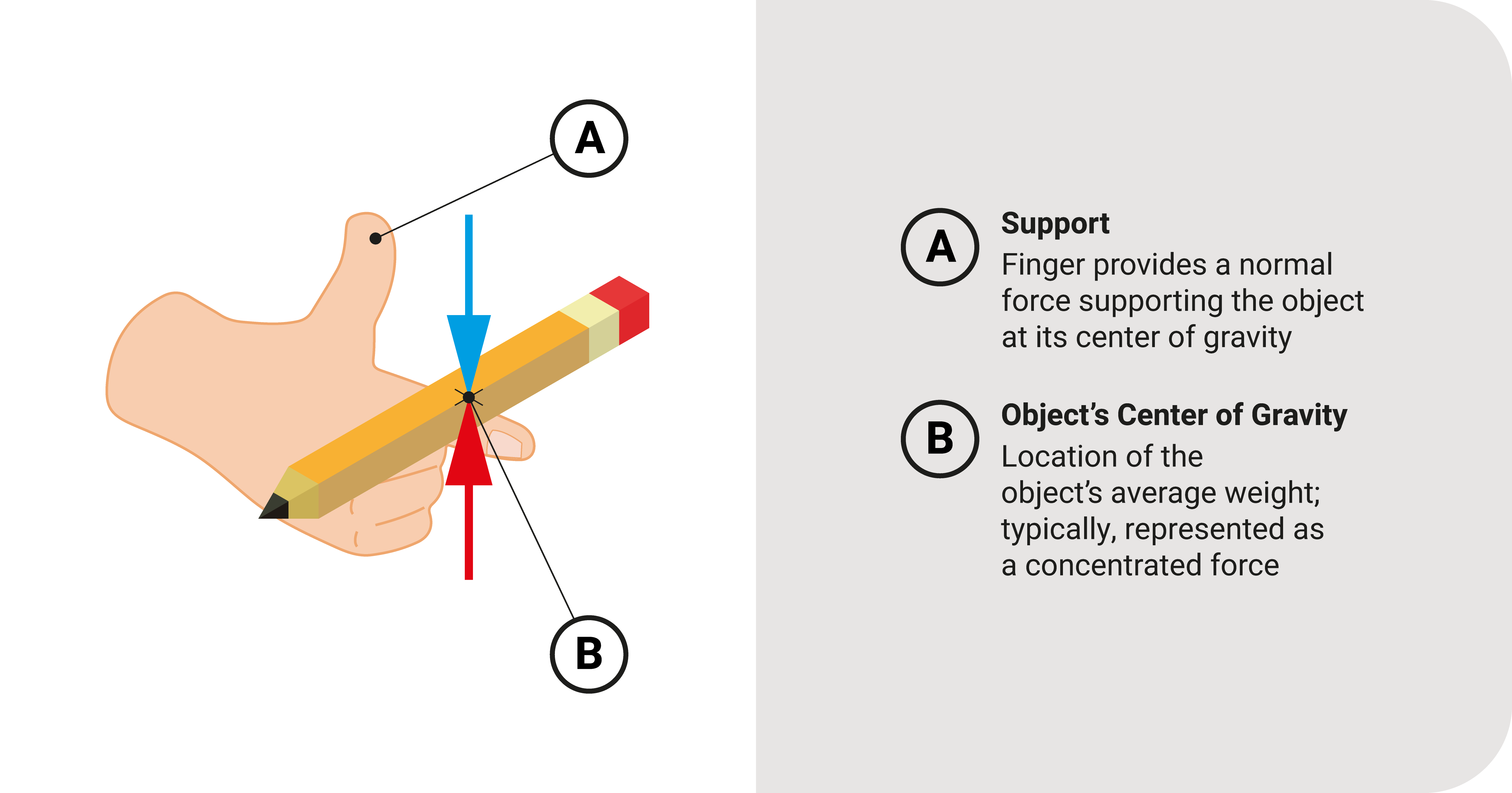 What is Equilibrium? - Structural Engineering | WeTheStudy