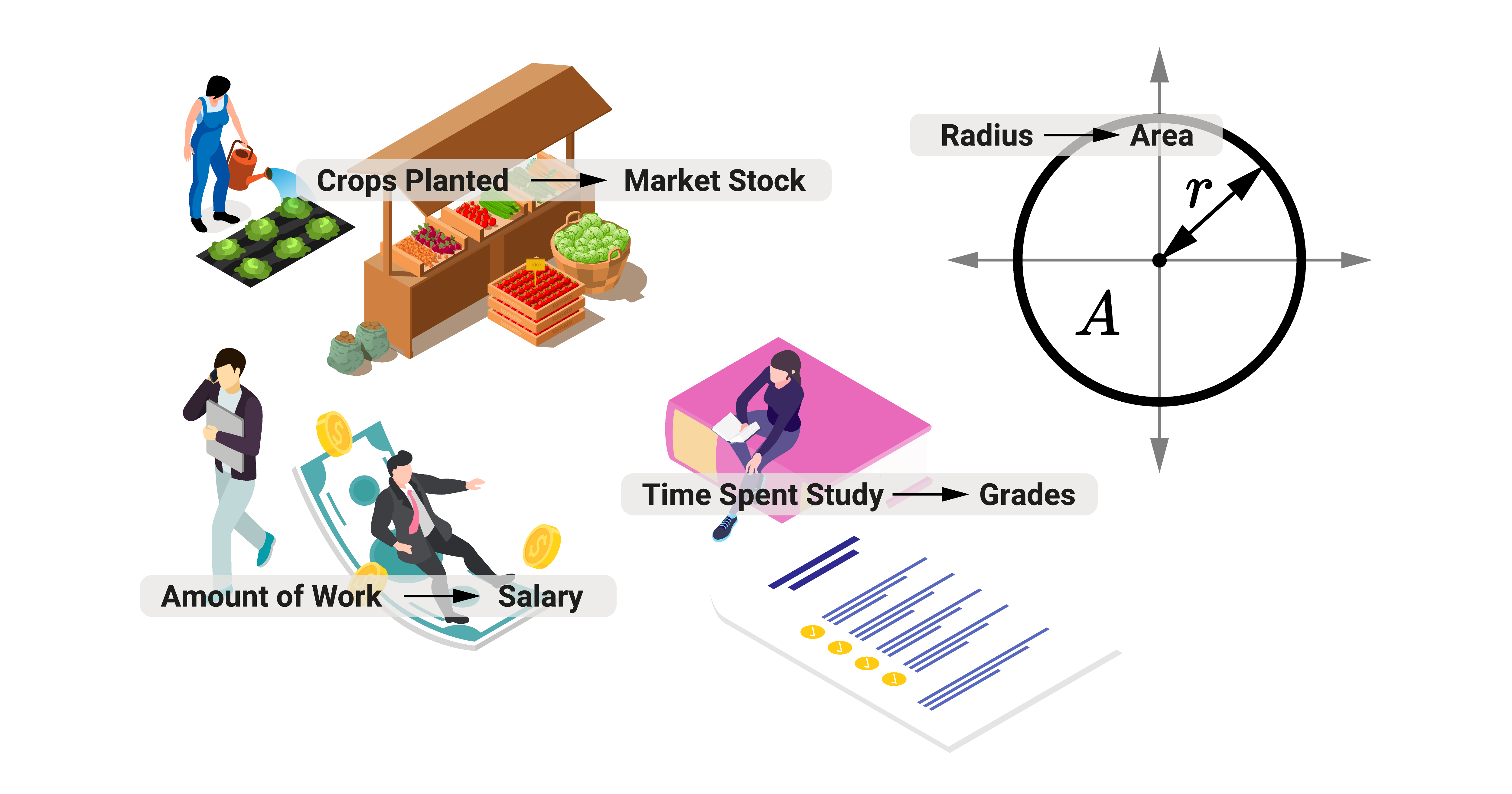 Why Learn Functions? - Mathematical Structures | WeTheStudy