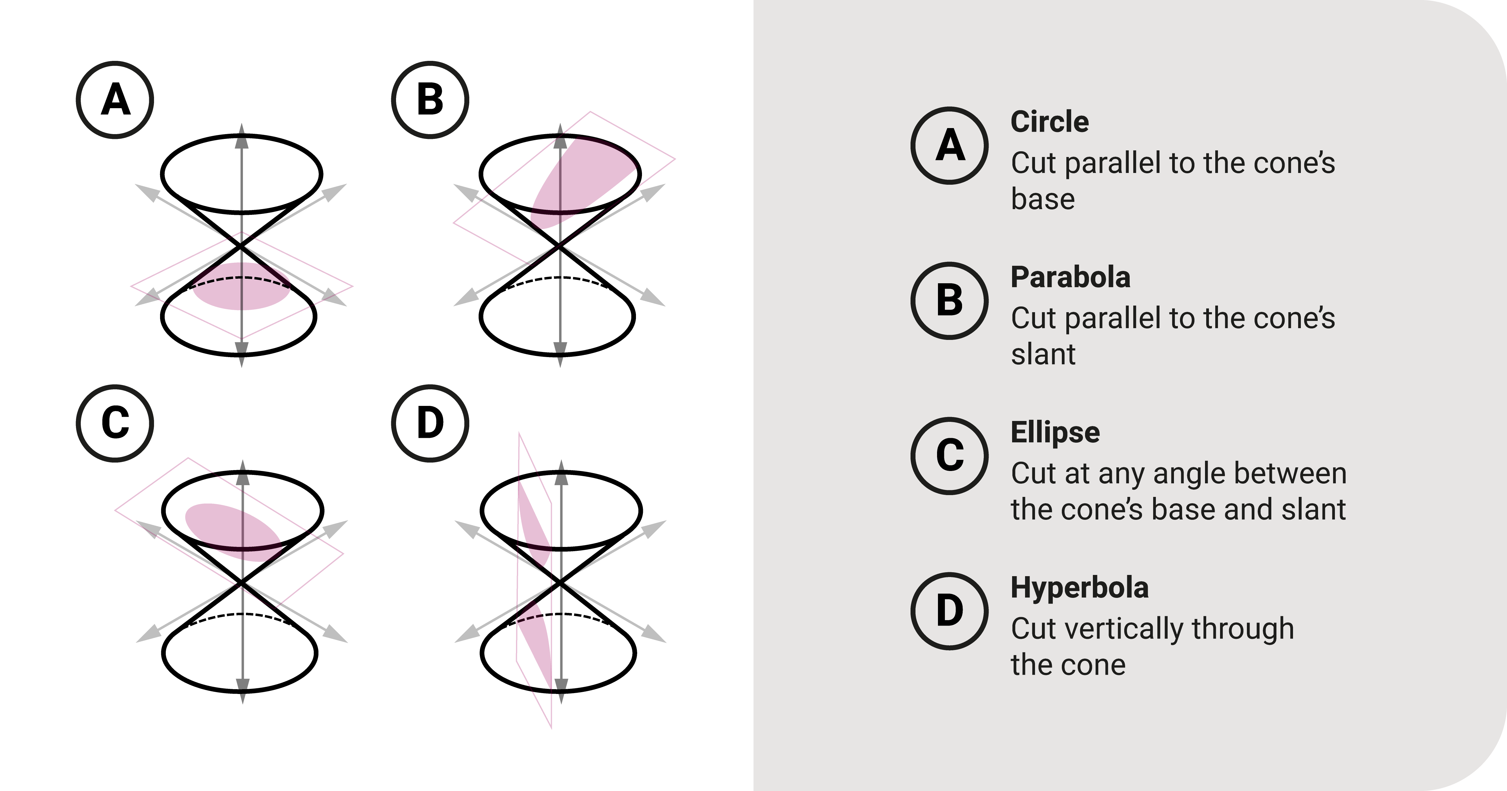 What are Conic Sections? - Geometry | WeTheStudy